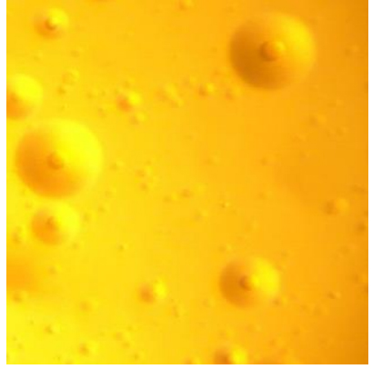 Agalaxia contagiosa provocada por Mycoplasma agalactiae: tratamento e ...